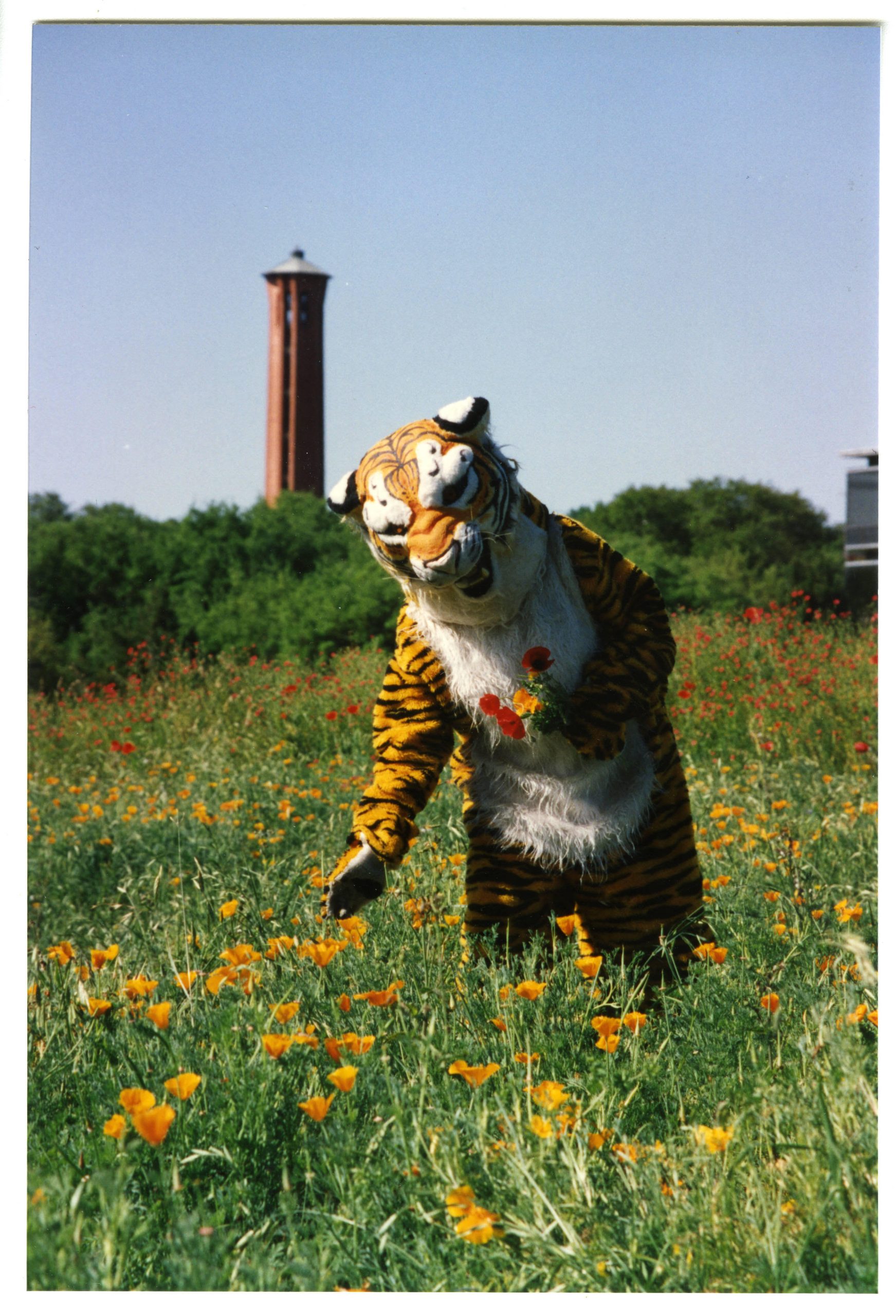 Vistas from the Past: the History of Landscaping at Trinity - Coates ...